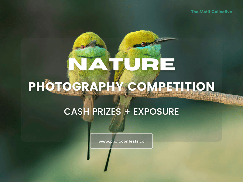 Nature Photography Competition 2025 - Photography Competitions 2025